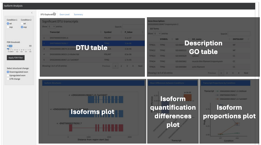 Tidyomics: Enabling Tidy Data Analysis for Complex Biological Data